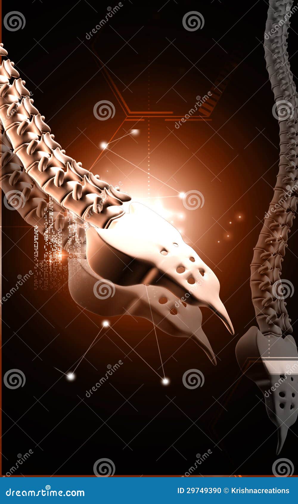 Back bone stock illustration. Illustration of abstract - 29749390