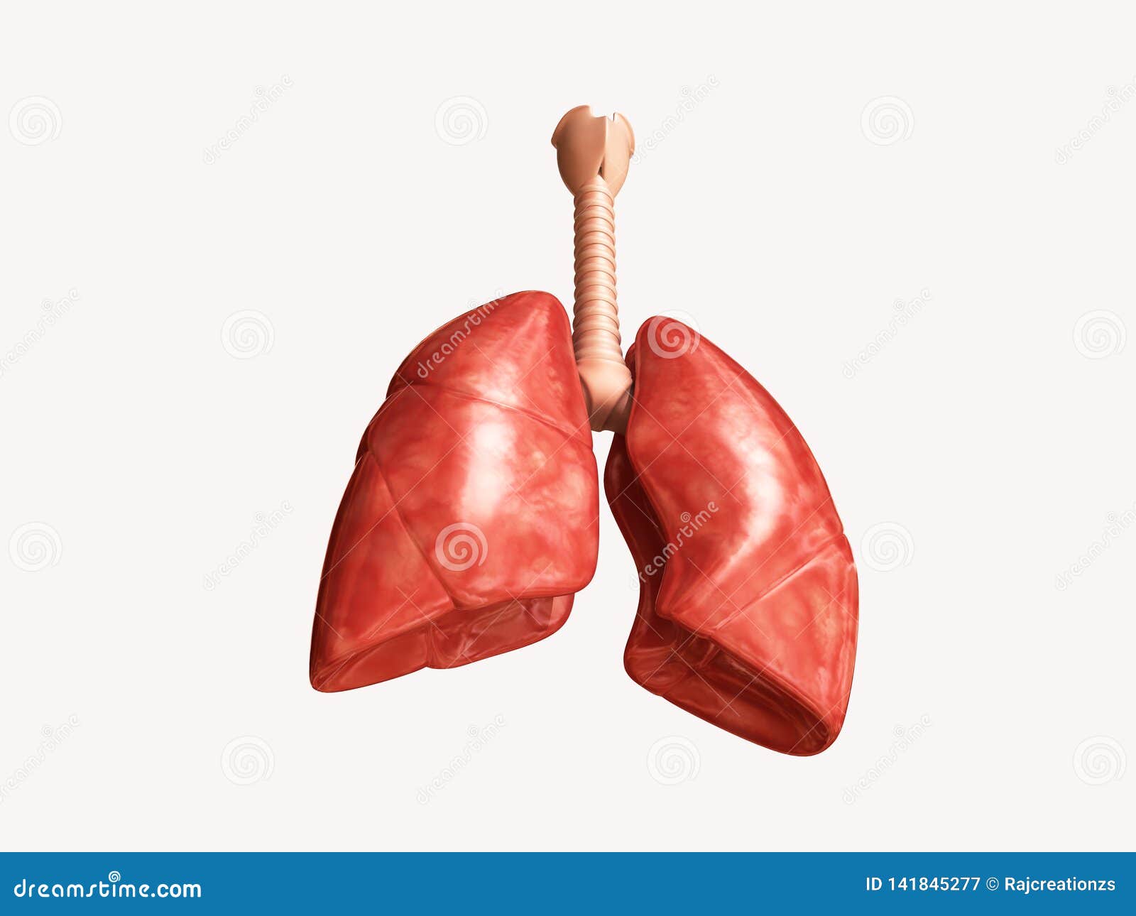 3d Rendered Human With A Question Mark Isolated On White Background ...