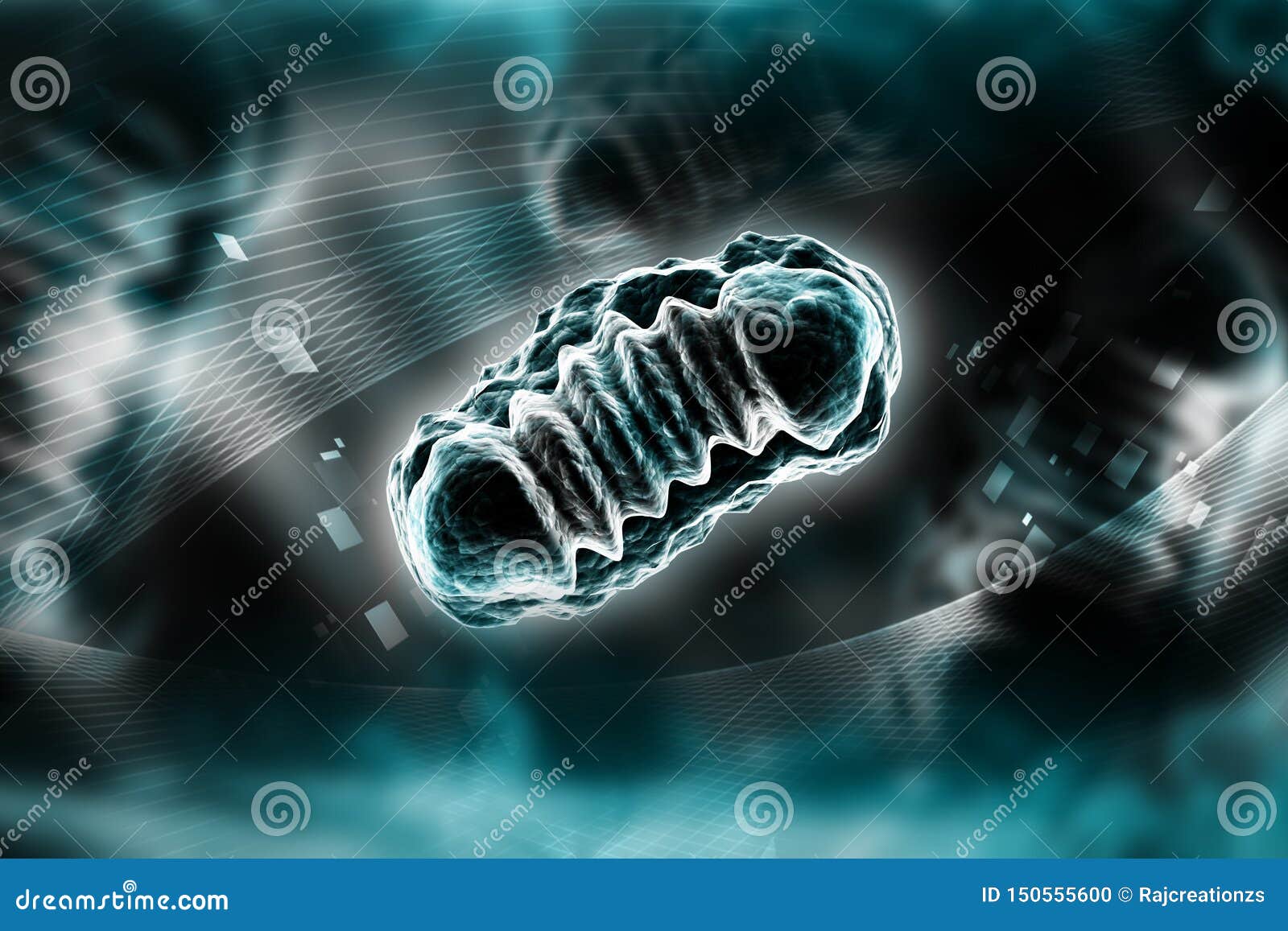 3d Rendered Digital Illustration of Mitochondria in Colour Background ...