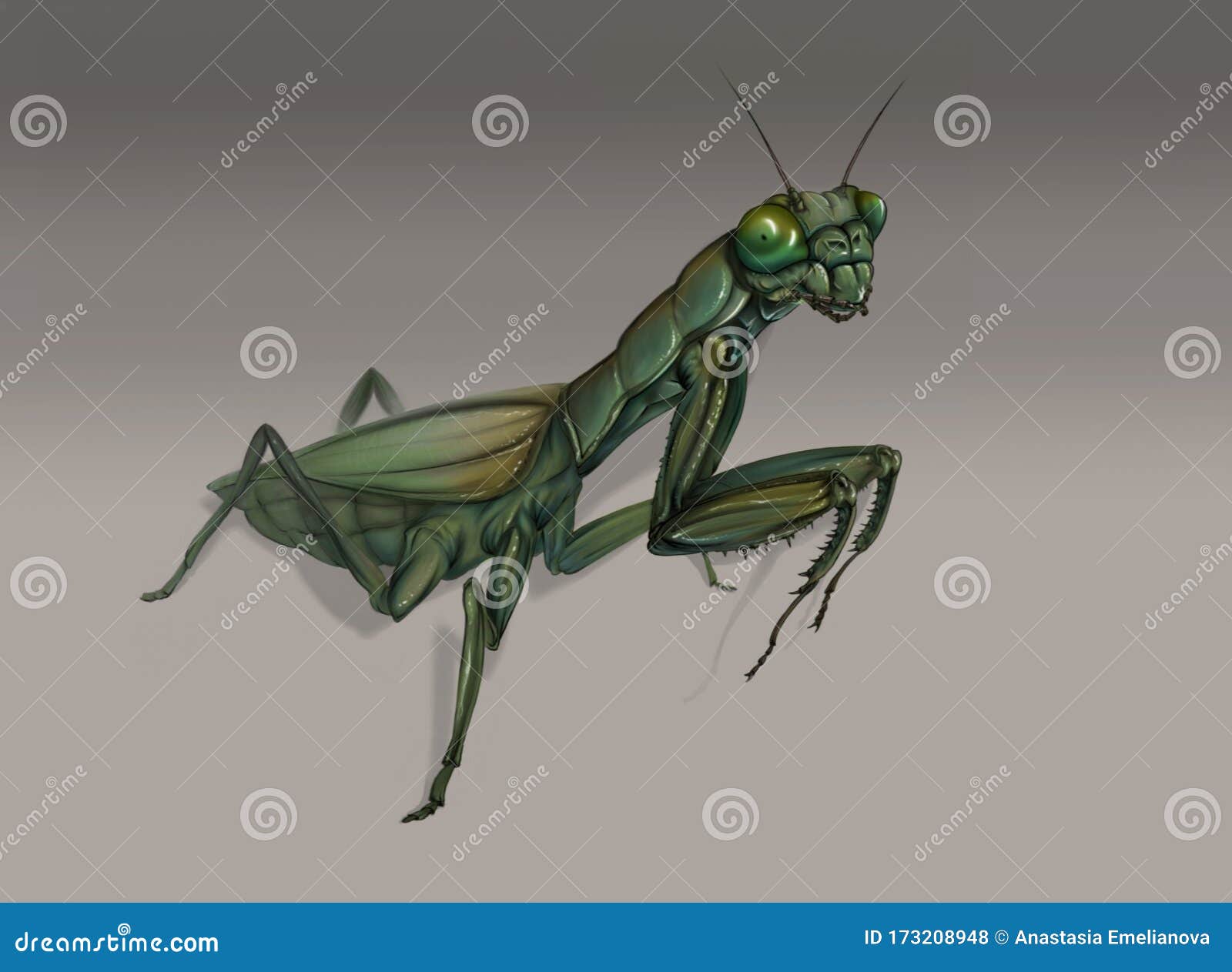 The fantasy mantis stock illustration. Illustration of insects - 173208948