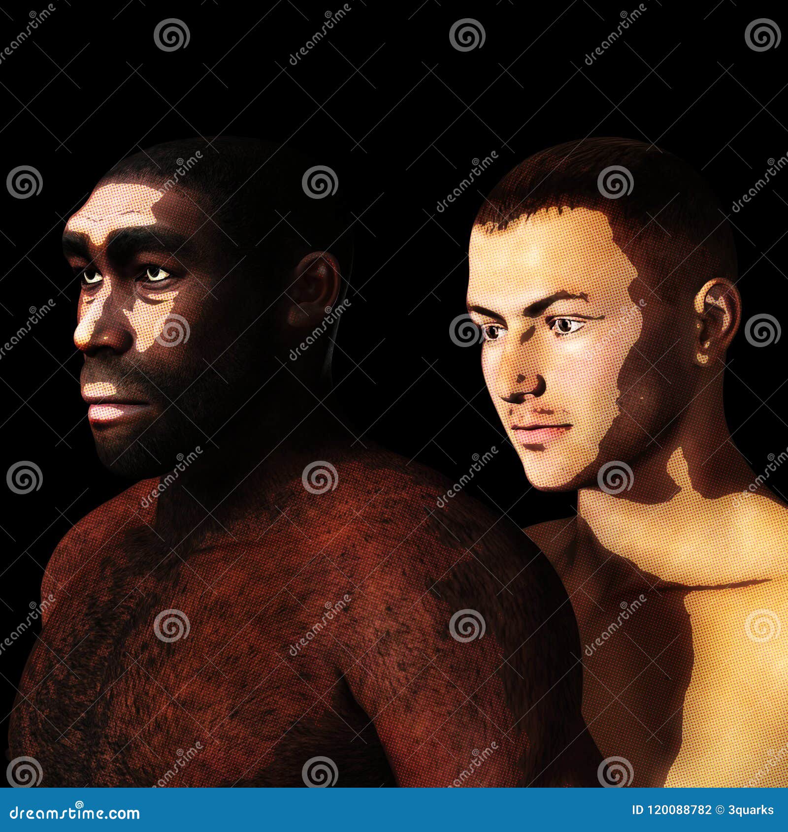 Digital Illustration Of A Erectus Stock Photo | CartoonDealer.com ...