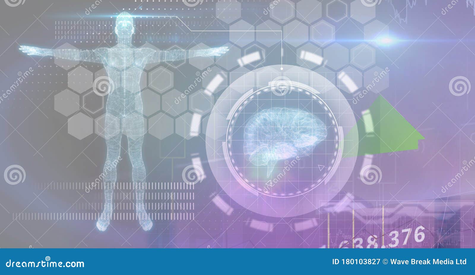 Digital Illustration of a Human Body and Human Brain 3D Models Over ...