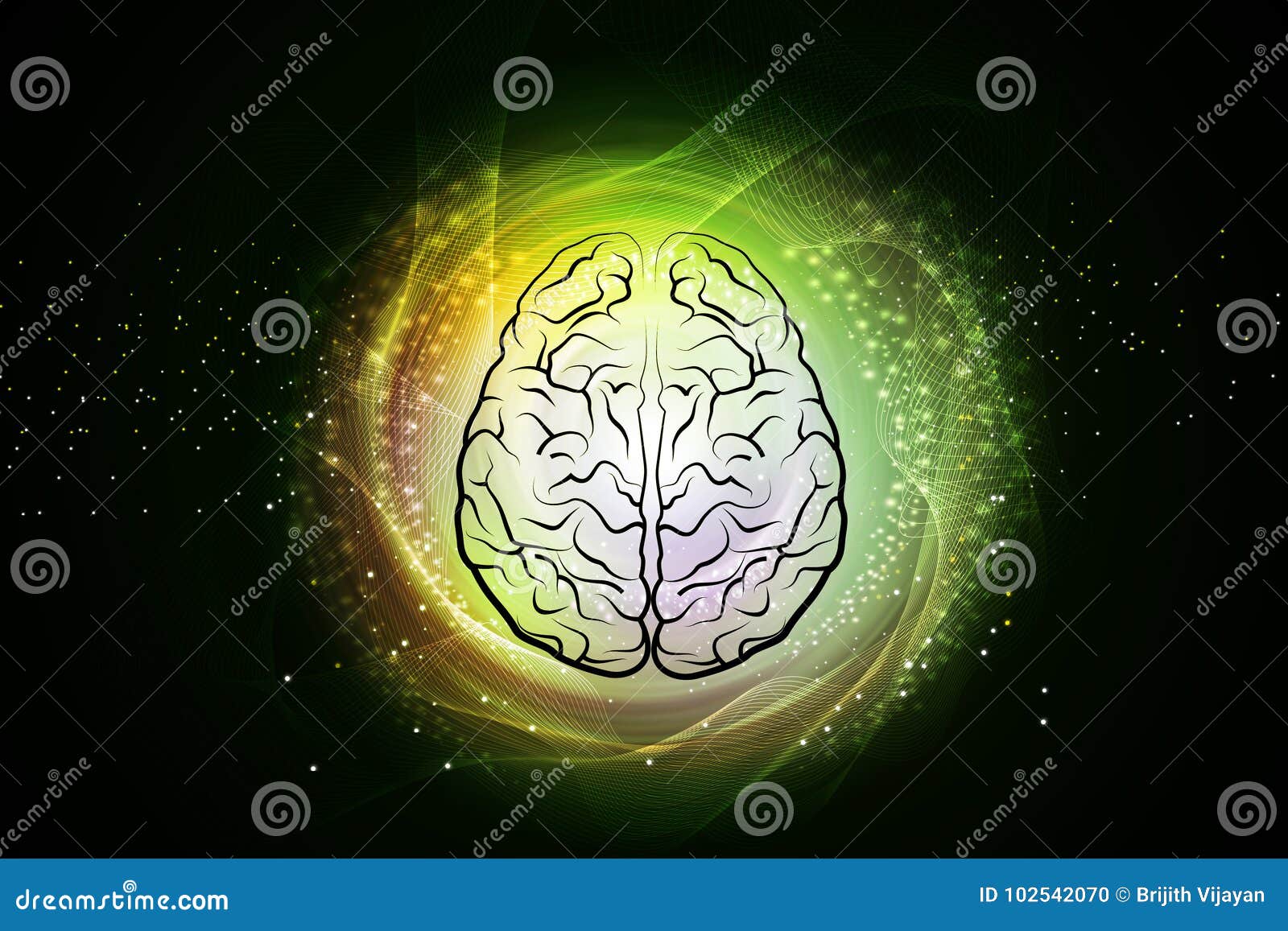 Digital Illustration of Human Brain Structure in Color Background Stock ...