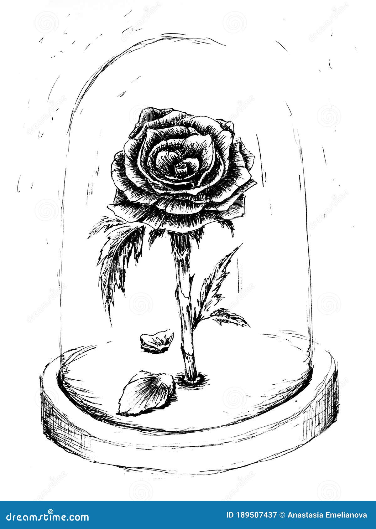 Magic rose ink drawing stock illustration. Illustration of fresh ...