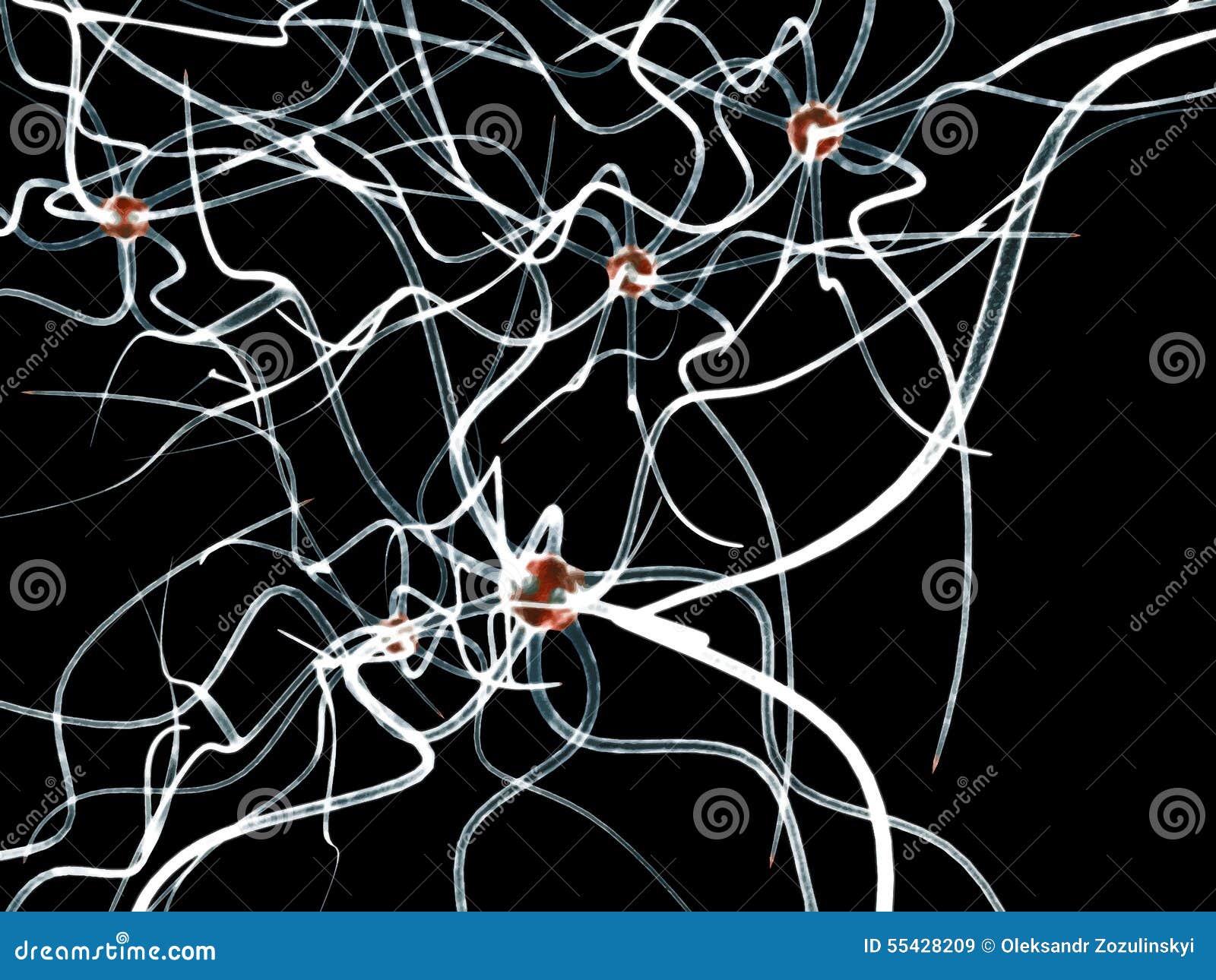 Digital Illustration of Neuron Vector Stock Vector - Illustration of ...