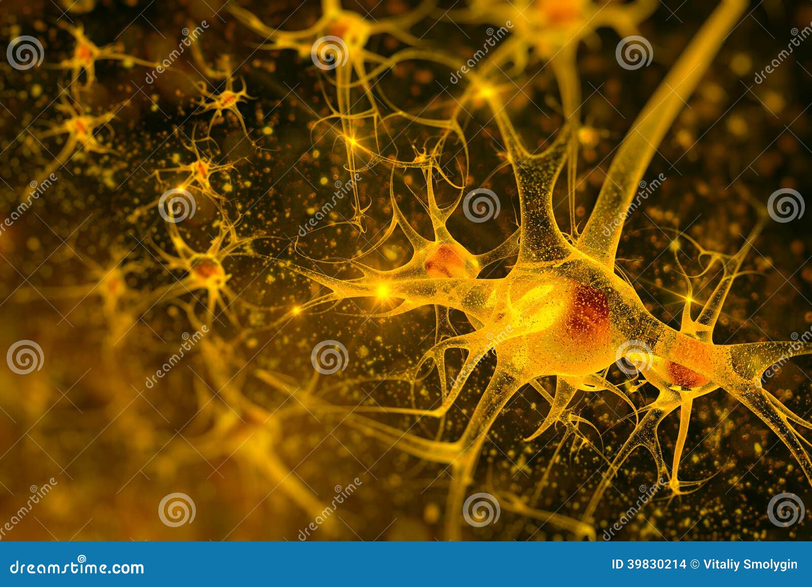 Digital Illustration Neurons Stock Photo - Image of medicine, human ...