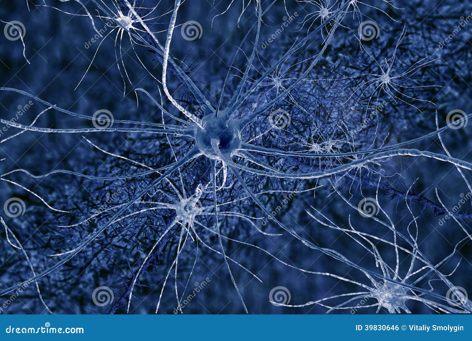 Digital Illustration Neurons Stock Photo - Image of cell, brainstorm ...