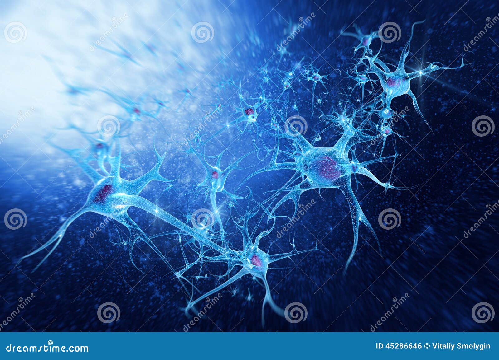 Digital Illustration Neurons Stock Illustration - Illustration of ...