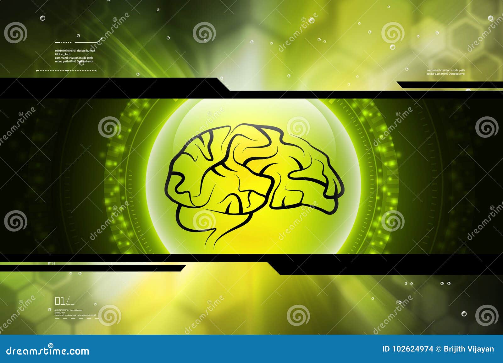 Brain Structure. Visual Cortex. Cerebral Cortex, Occipital Lobe ...
