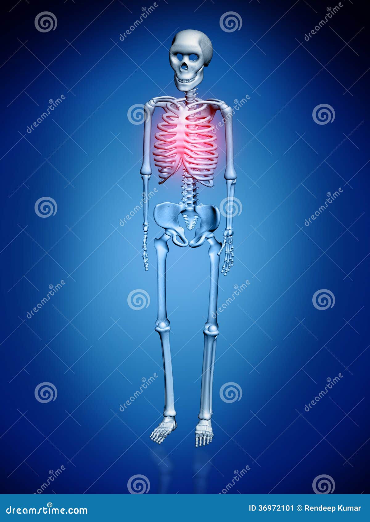 Skelton Cartoons, Illustrations & Vector Stock Images - 153 Pictures to ...