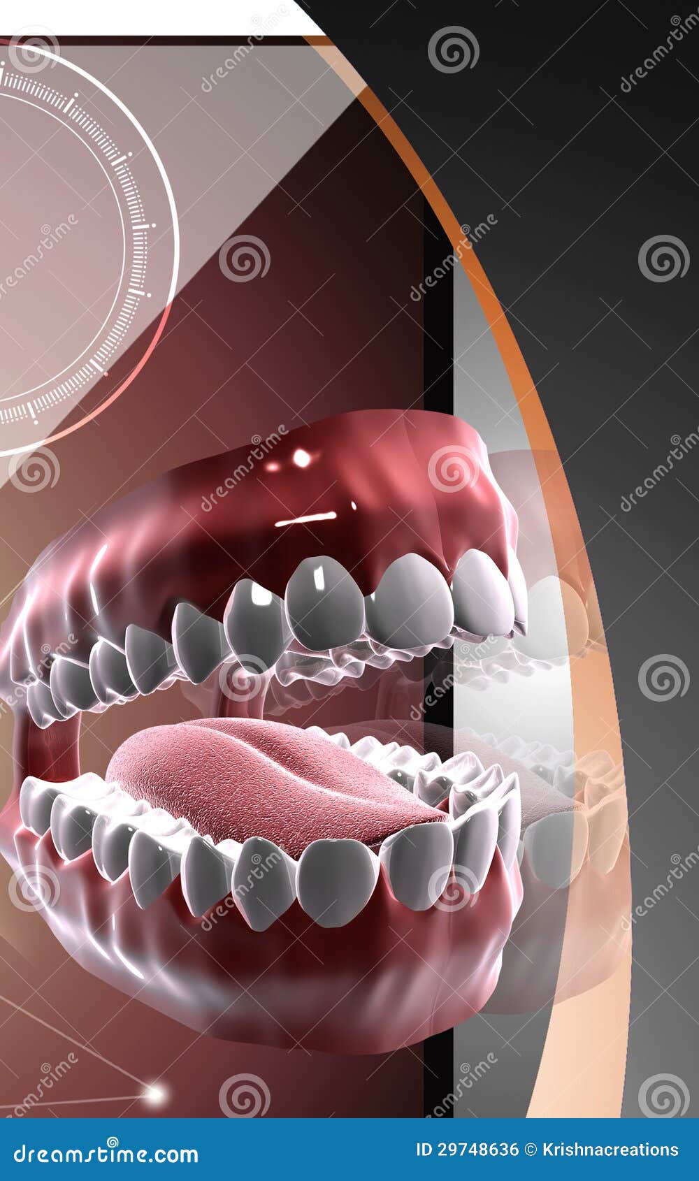 Teeth stock illustration. Illustration of opened, colour - 29748636
