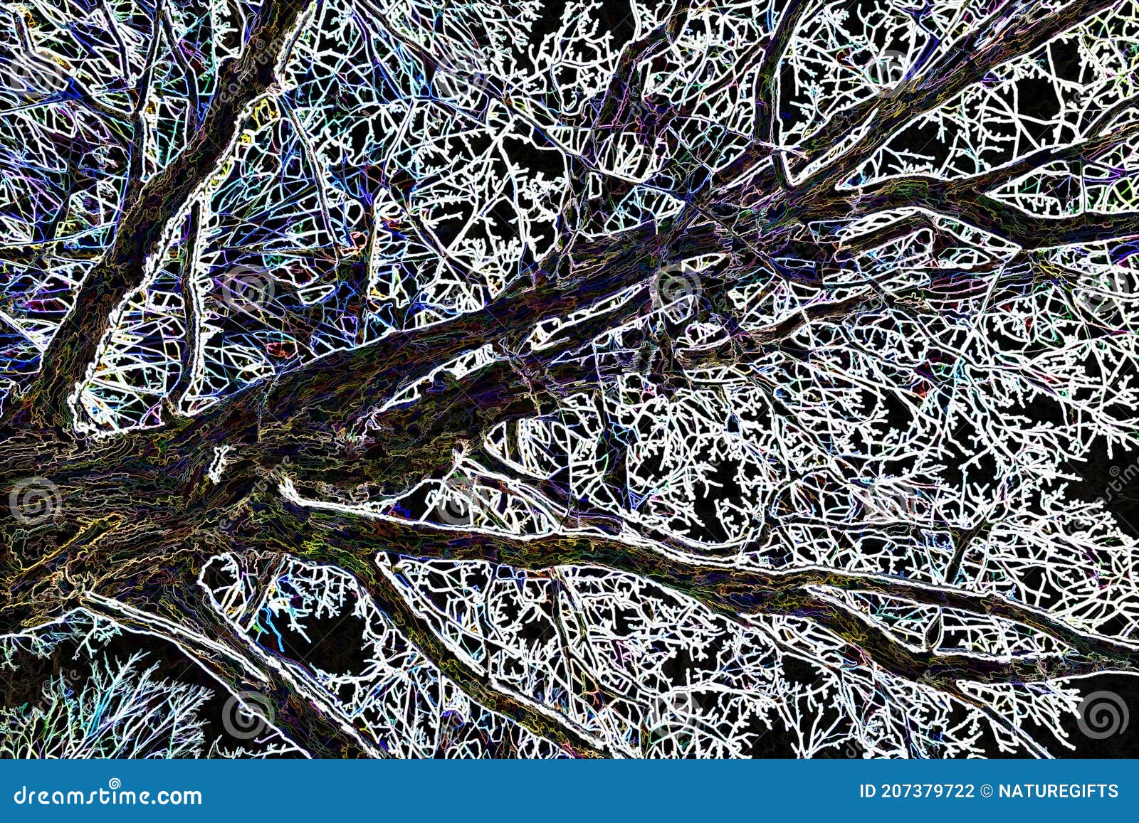 Digital Trees Postcard Background Effect Stock Photo - Image of ...