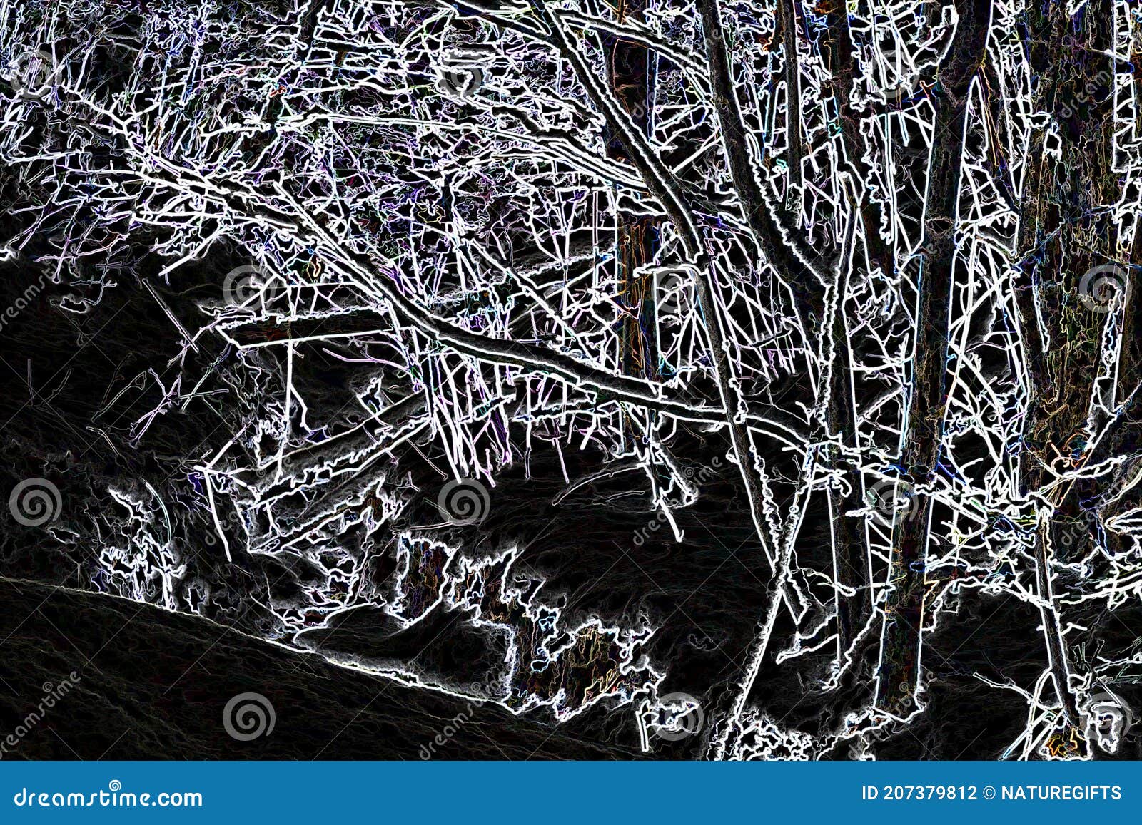 Digital Trees Postcard Background Effect Stock Photo - Image of paint ...