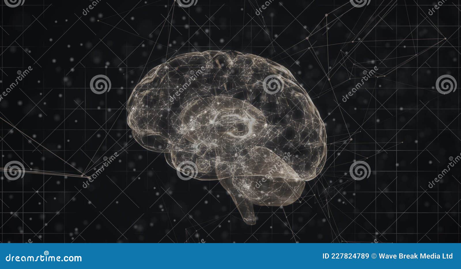 Digital Image of Human Brain and Dna Structure Spinning Against Network ...