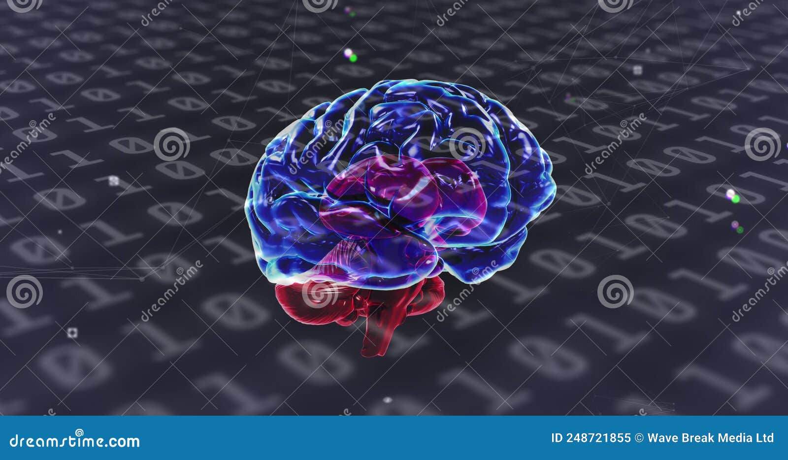 Brain Spinning Grey Background Photos - Free & Royalty-Free Stock ...