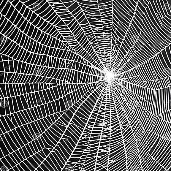 A Digital Interpretation of a Spiderweb, with Textured and Patterned ...