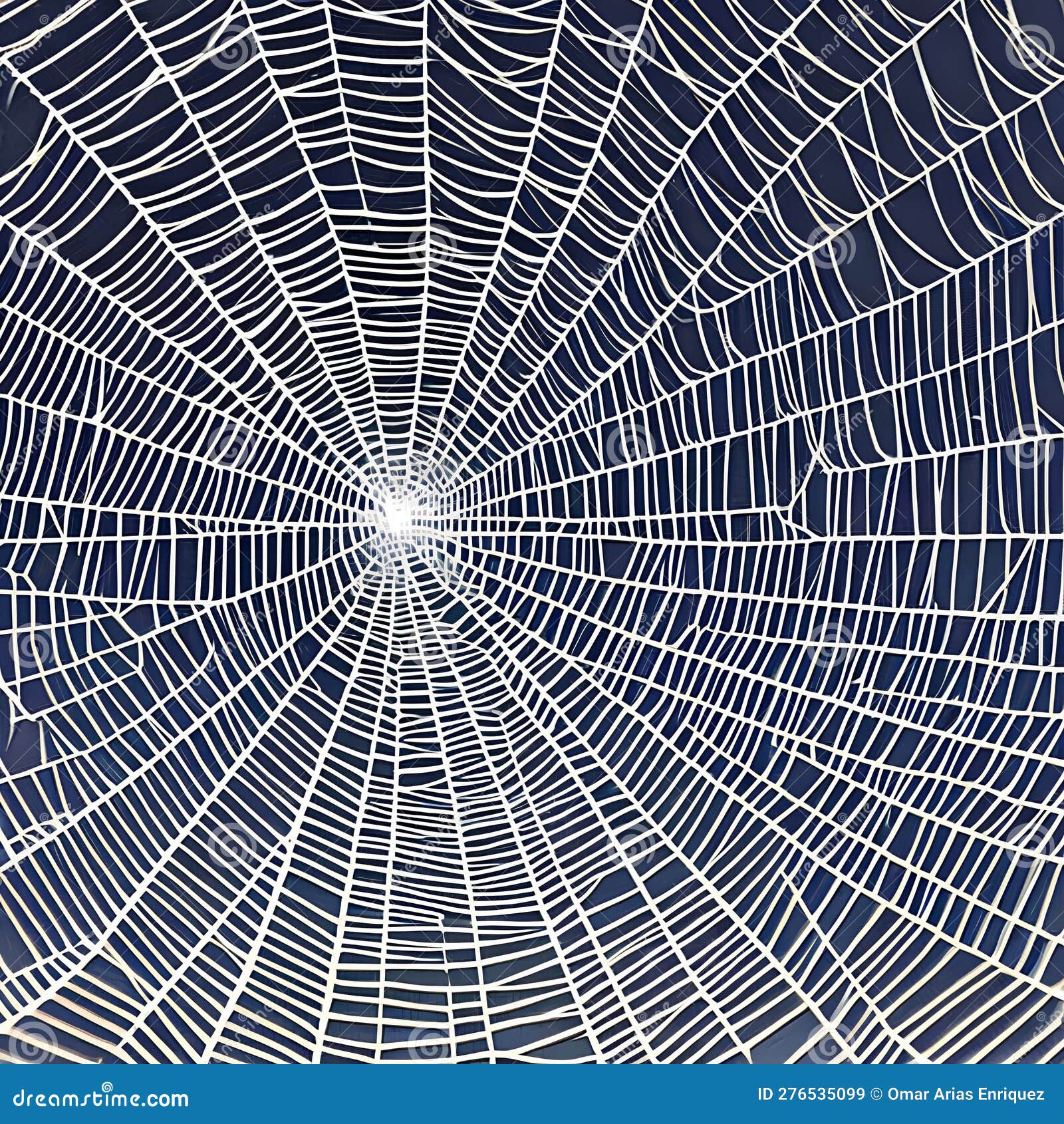 A Digital Interpretation of a Spiderweb, with Textured and Patterned ...