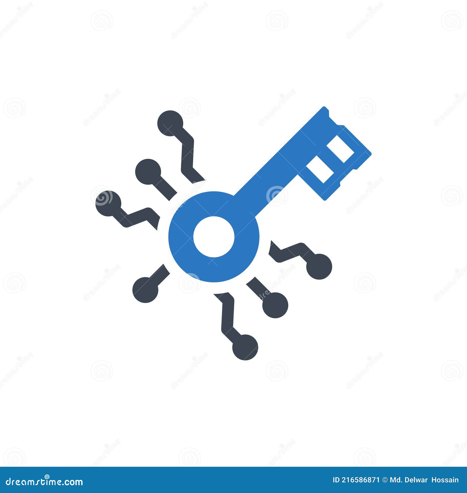 Digital key icon stock vector. Illustration of technology - 216586871
