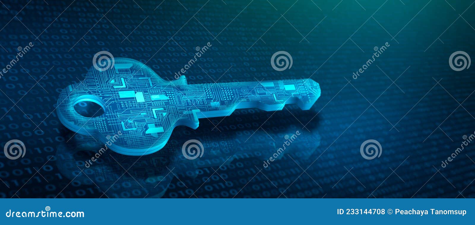 Security or Private Key Protecting Data Personal Information. Privacy ...