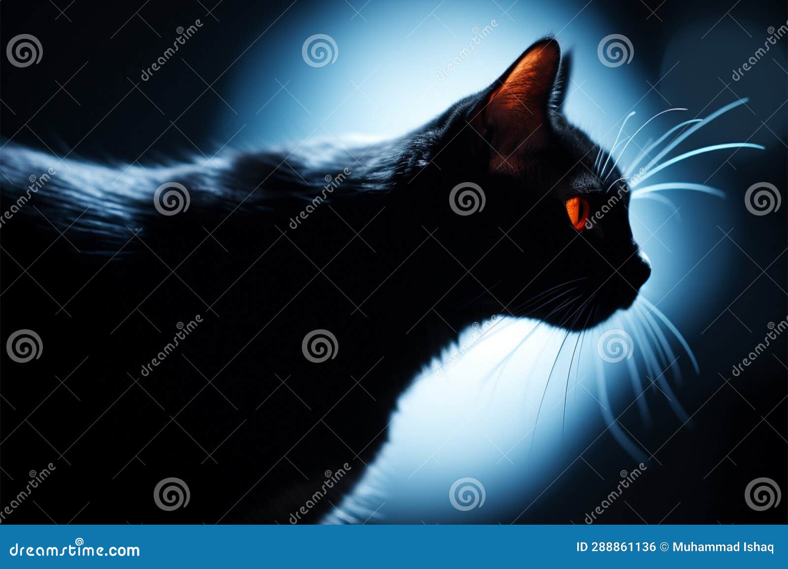 Digital Kitty Ambles, Projecting Captivating Silhouette Onto Textured ...