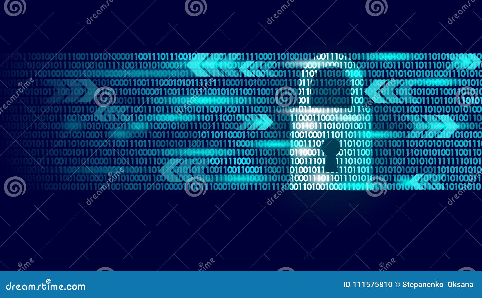 Digital Lock Guard Sign Binary Code Number. Big Data Personal ...