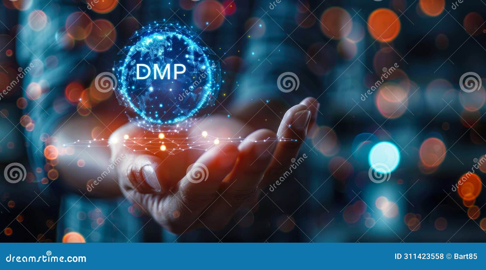 Digital Marketing Professional Demonstrating Data Management Platform ...