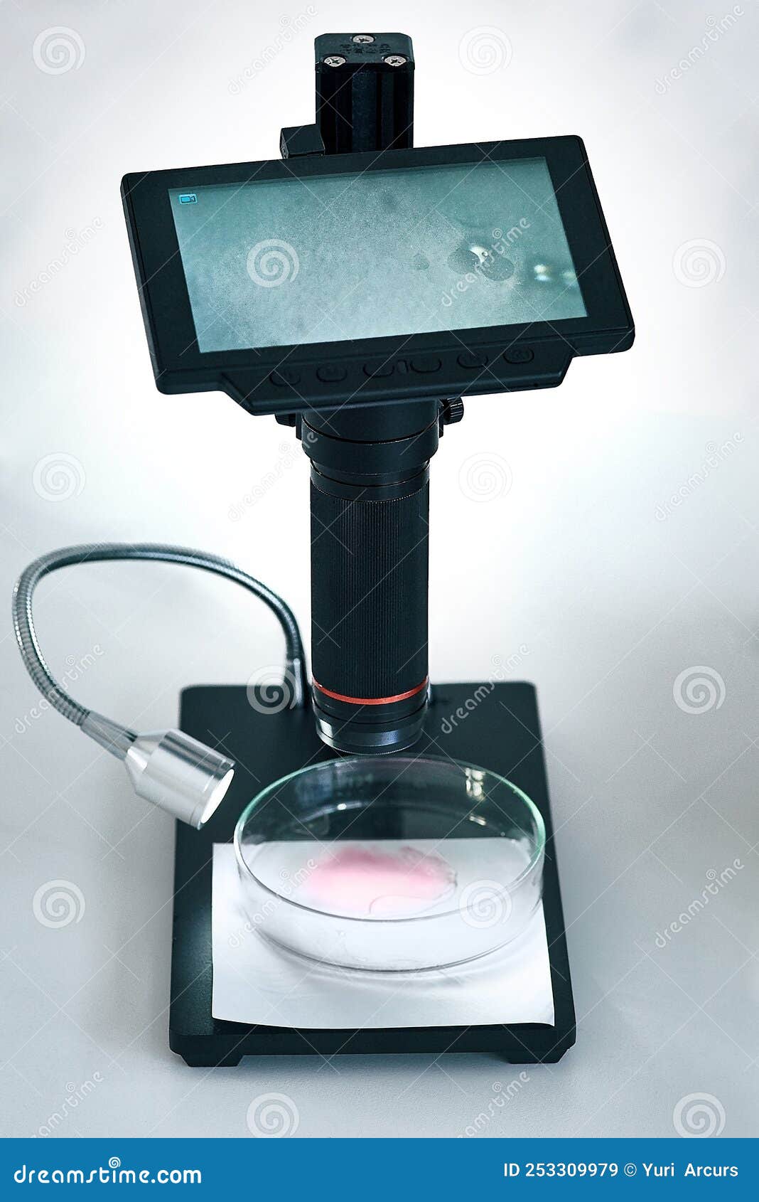 Digital Microscopes are a Game Changer. Still Life Shot of a Digital ...