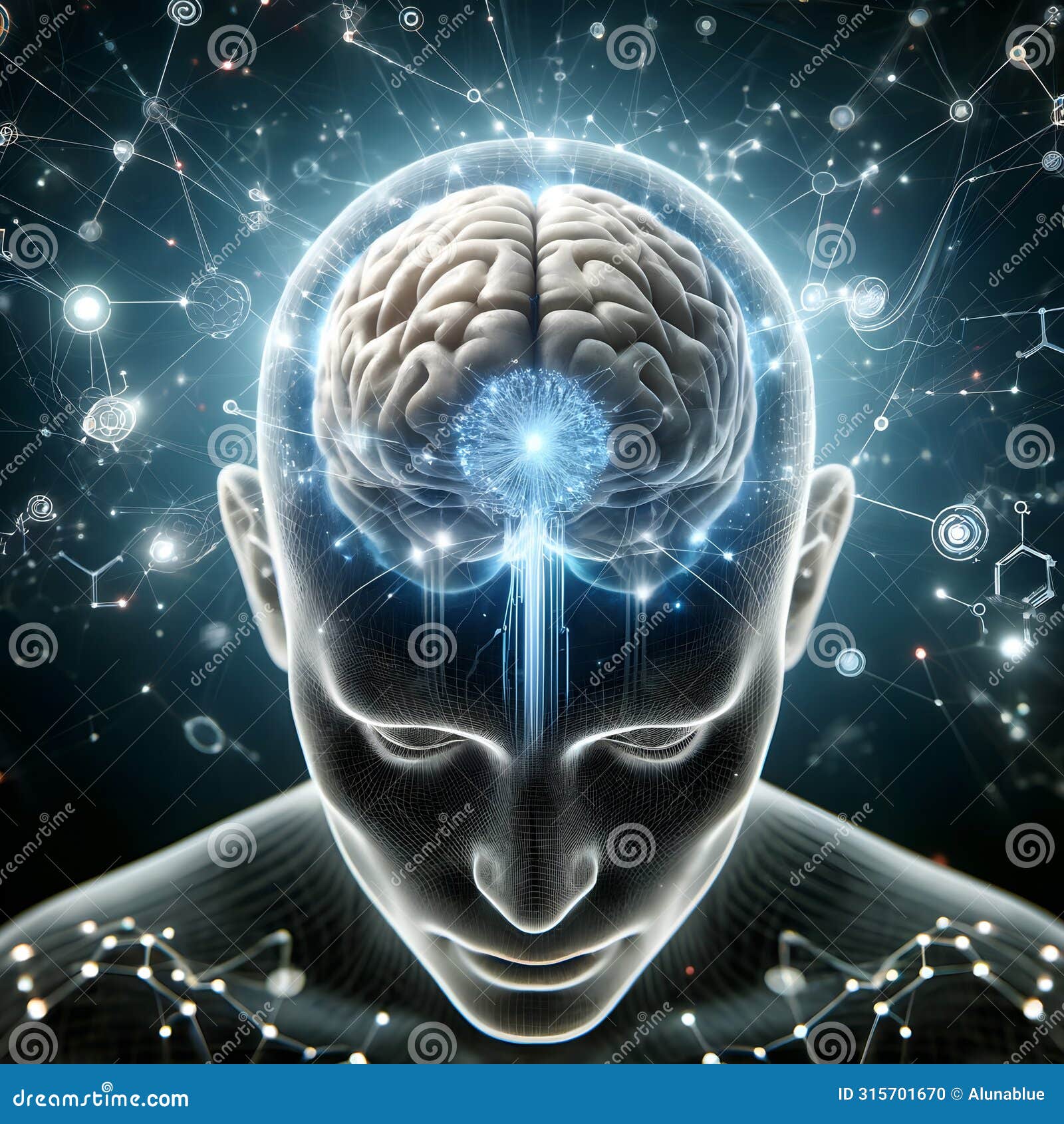 Digital Mind S Blossom: Neural Networks and Cognitive Process ...