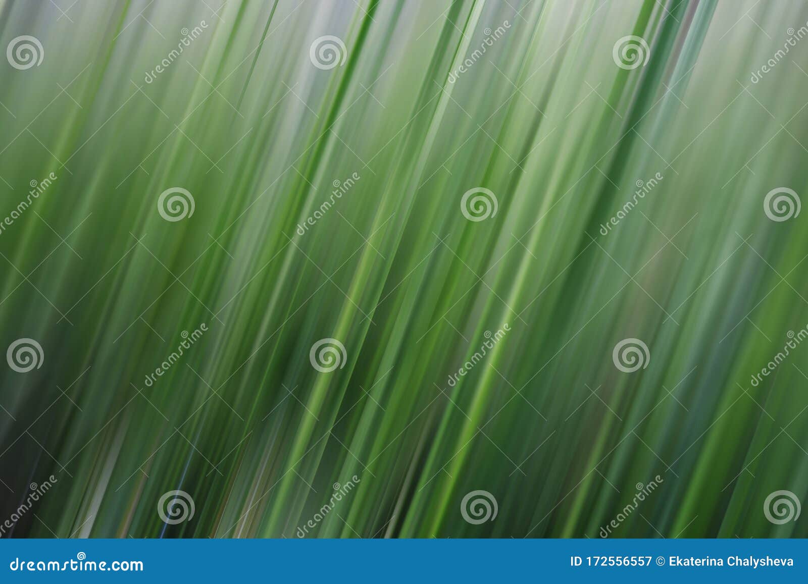 Digital Motion Blur Effect with Selective Focus, Abstracted Background ...