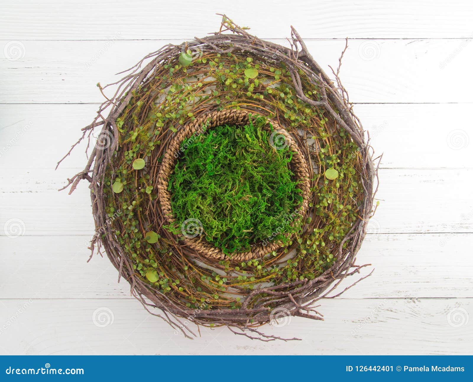 Branches Digital Newborn Backdrop Stock Image - Image of copy, branches ...