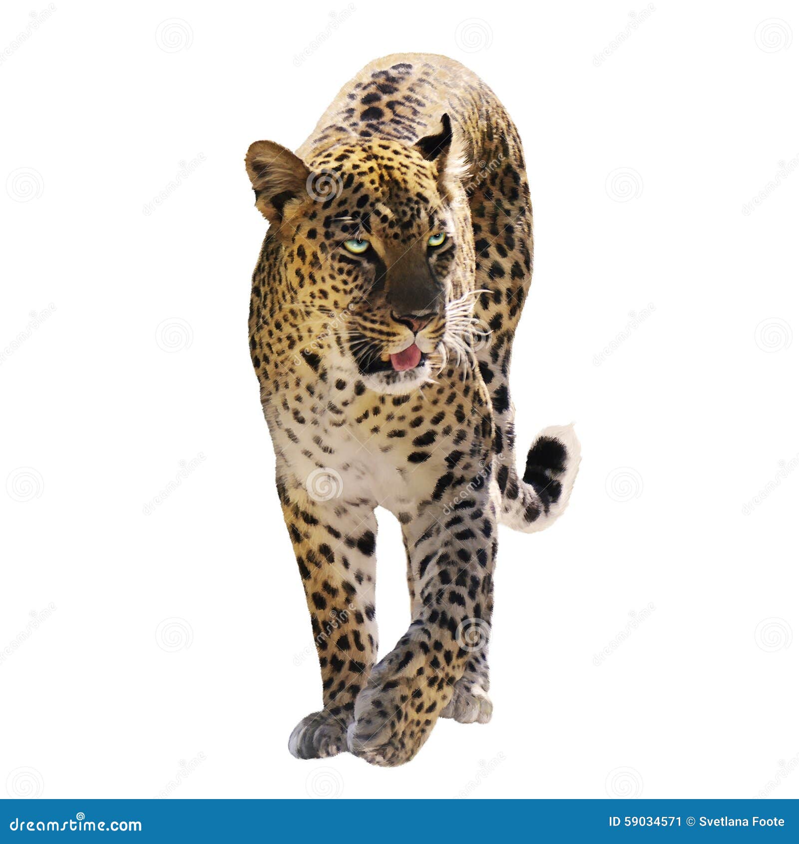 Digital Painting of Leopard Stock Illustration - Illustration of large ...