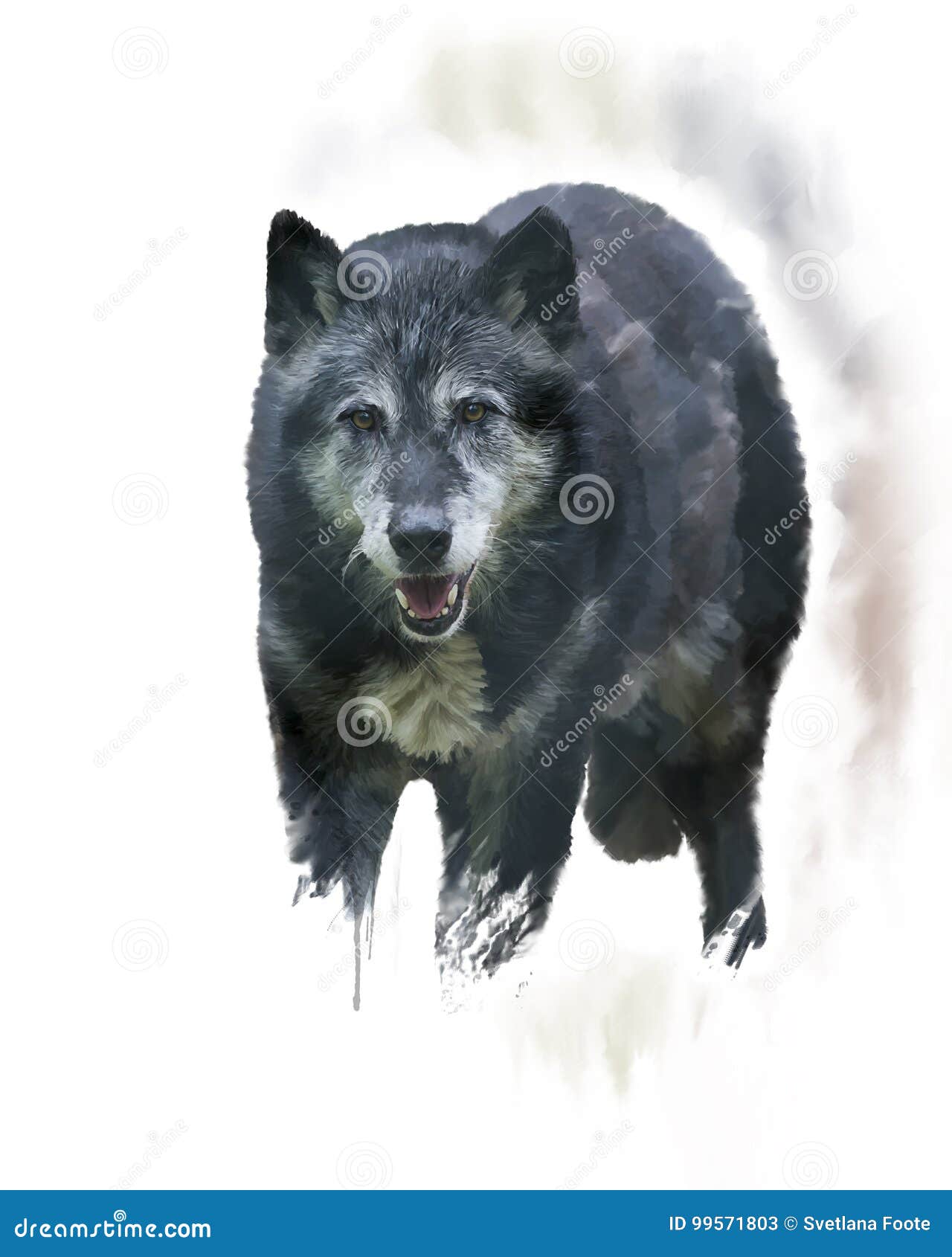 Timber Wolf Stock Illustrations – 525 Timber Wolf Stock Illustrations ...