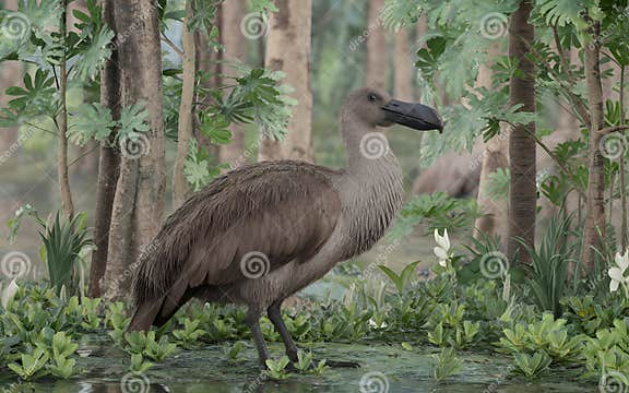 A Digital Reconstruction of the Extinct Mauritius Dodo Bird in Its ...