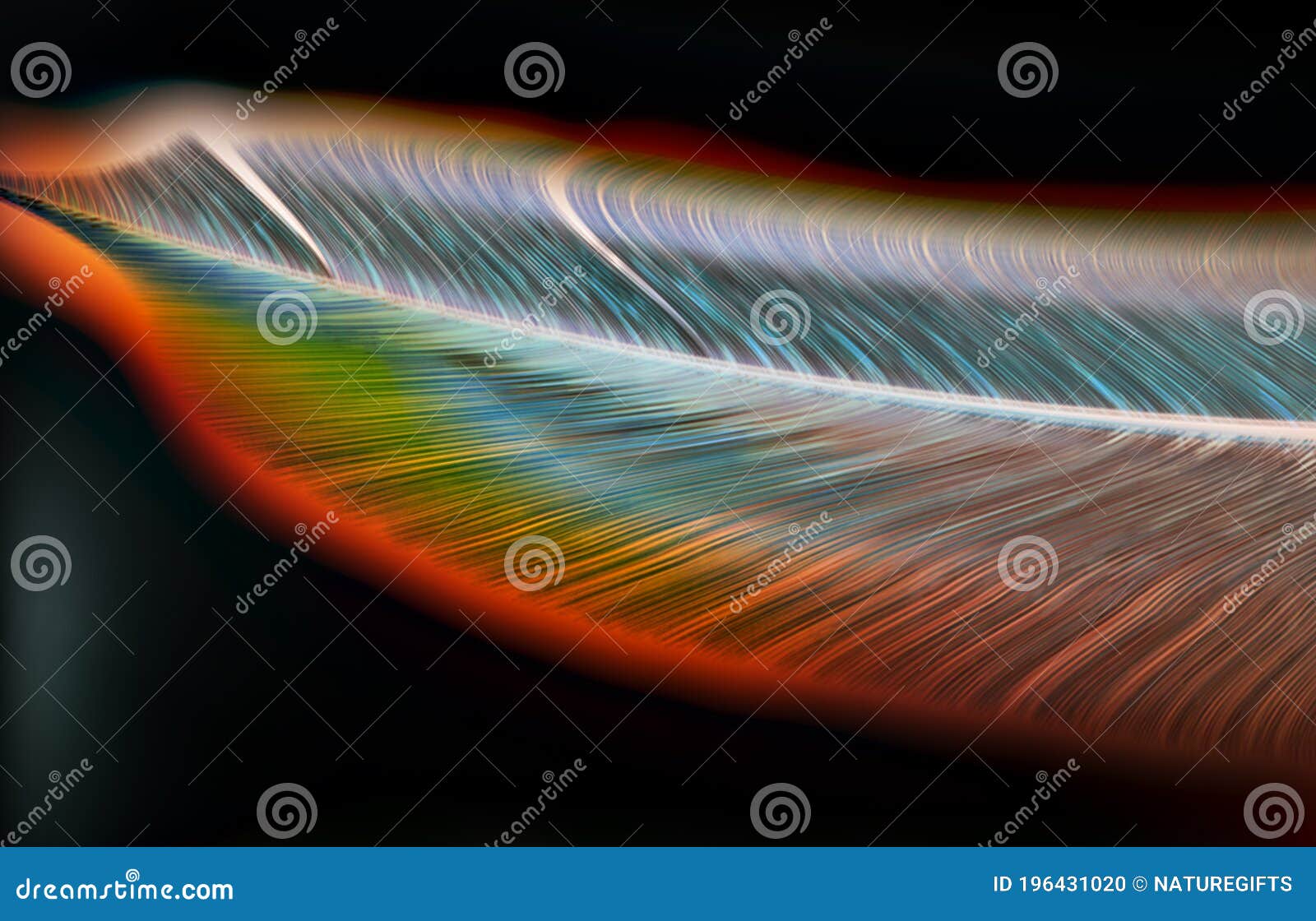 Digital Rendering Feather in Soft Light Stock Illustration ...