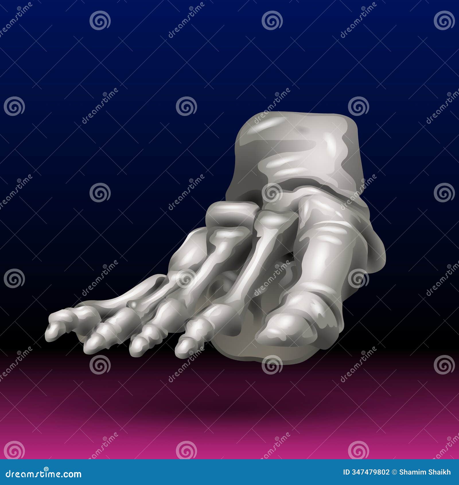A Digital Rendering Features a Skeletal Foot Stock Illustration ...