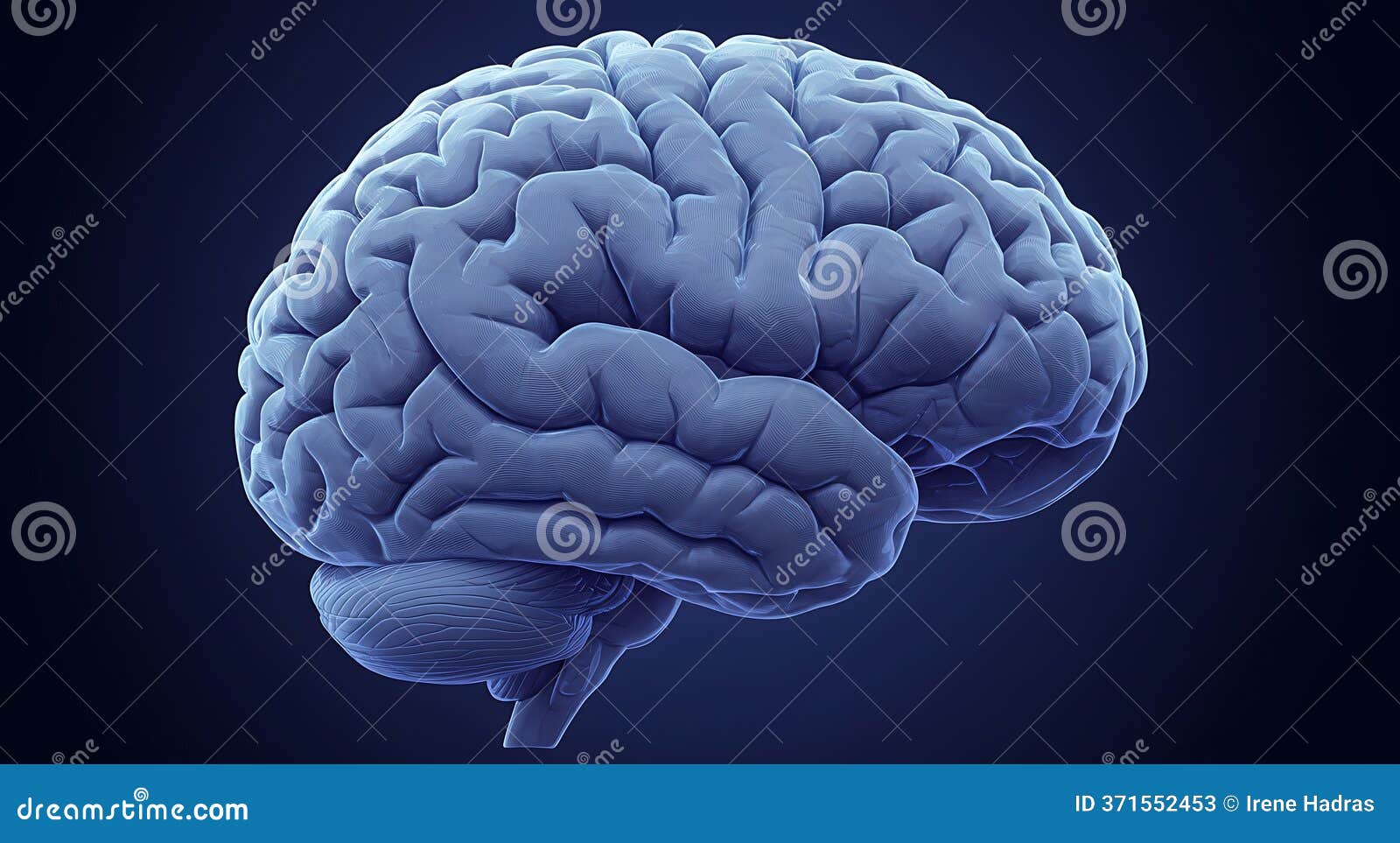 A Digital Rendering Of A Human Brain Depicts Neural Activity Using ...