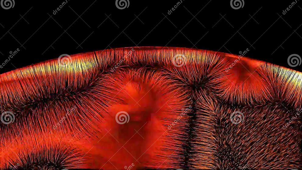 Digital Rendering Red Fire Planet Stock Image - Image of coal, fluffy ...
