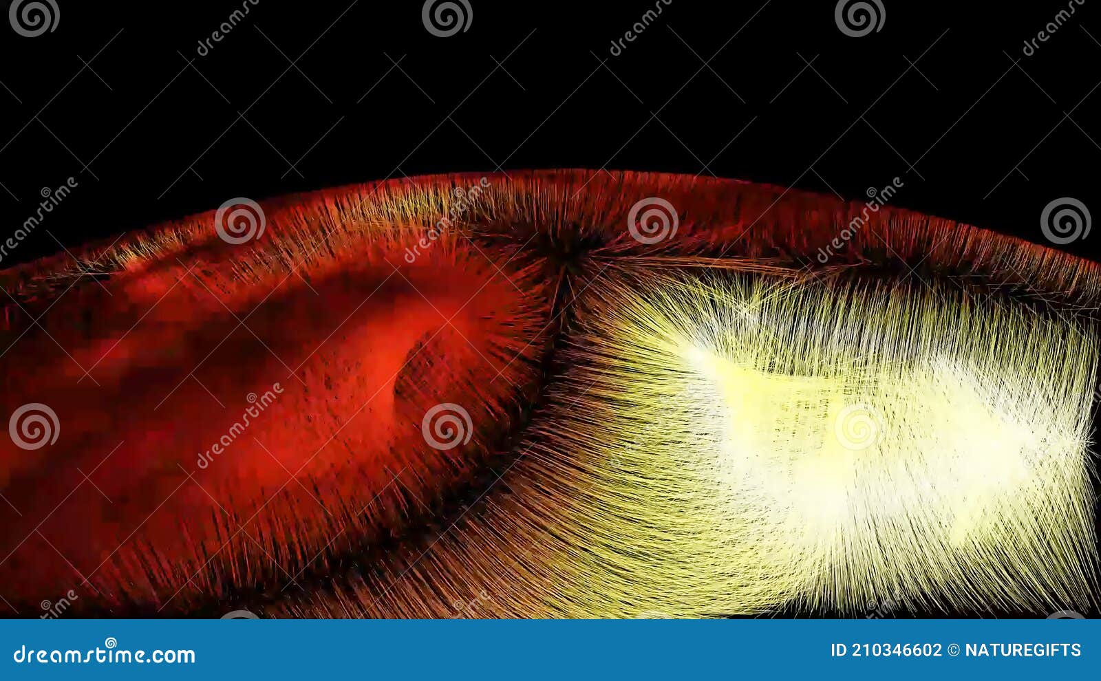 Digital Rendering Red Fire Planet Stock Photo - Image of background ...