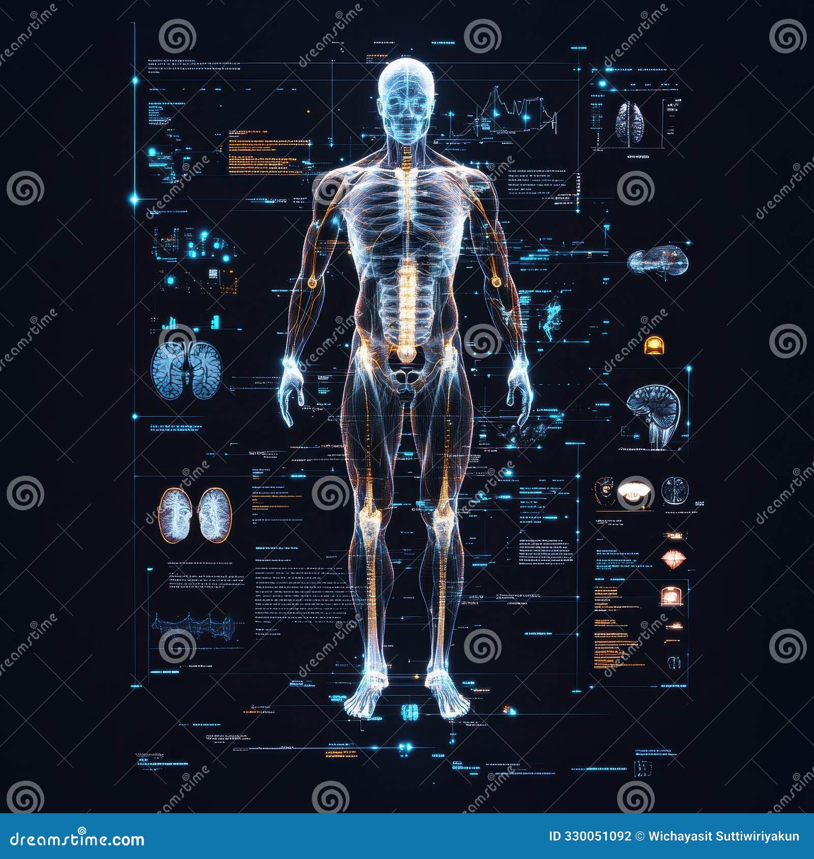 A Digital Representation of the Human Body Highlighting Anatomy and ...