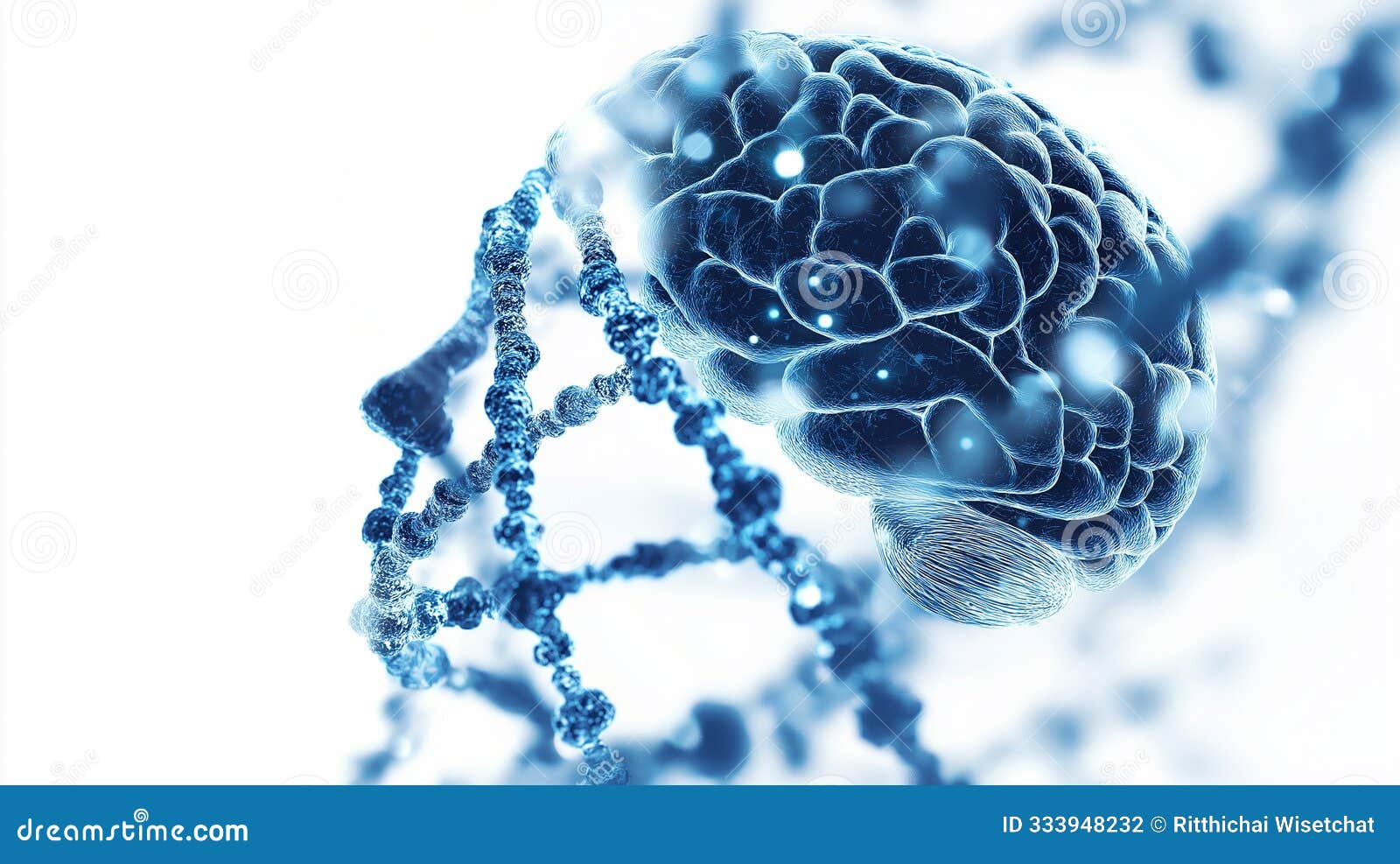 Digital Representation of a Human Brain Intertwined with a DNA Strand ...