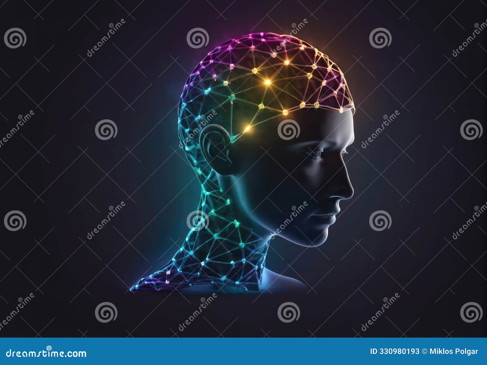 Digital Representation of a Human Head with Interconnected Neural ...