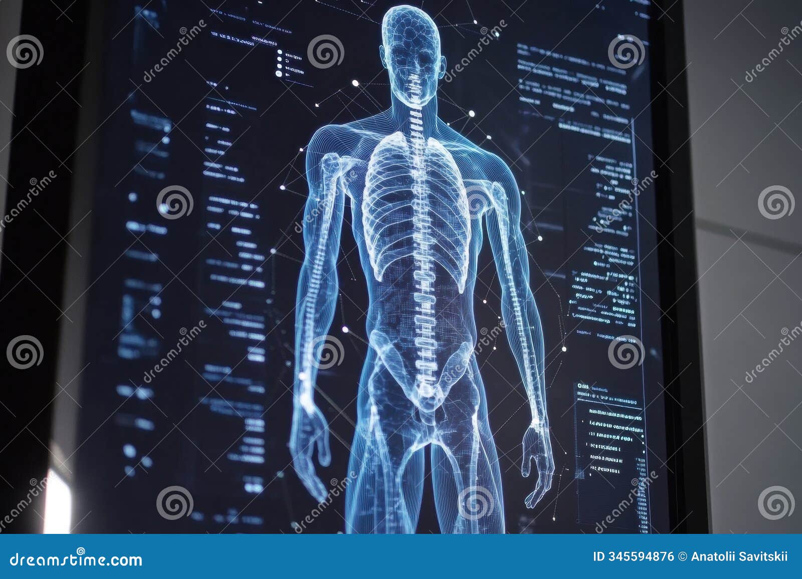 A Digital Representation Showcases the Human Skeletal and Muscular ...