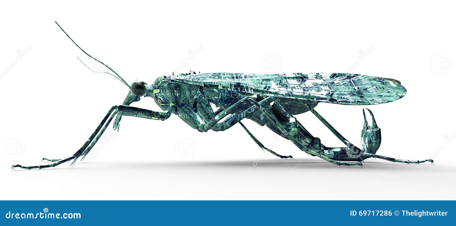 Digital Safety Concept Computer Bug Isolated on White, 3D Illust Stock ...