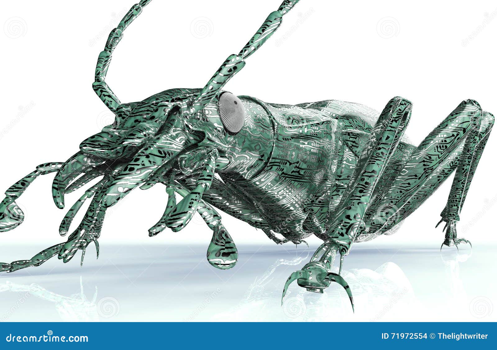 Digital Safety Concept Computer Bug Isolated on White Stock ...