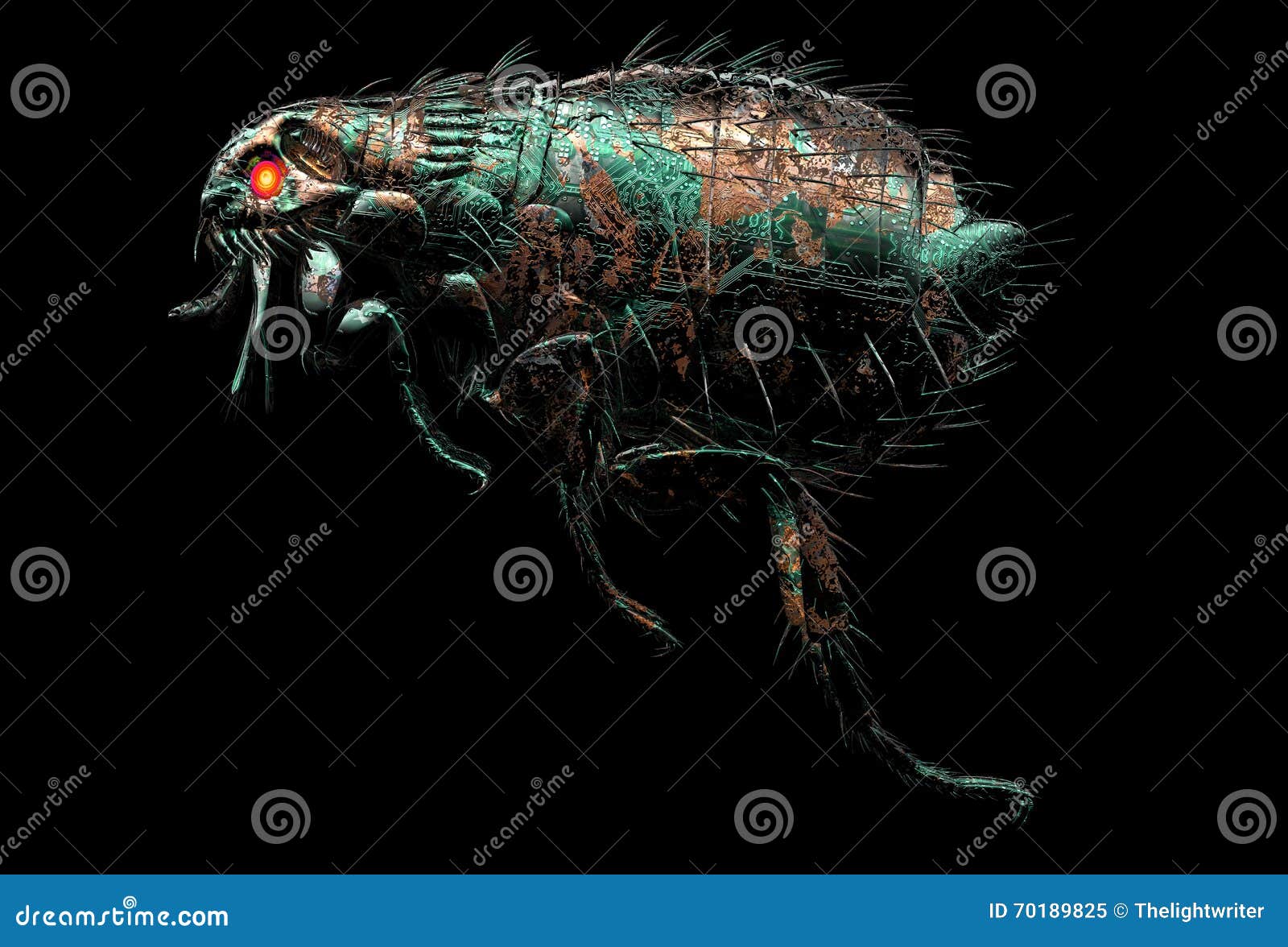 Digital Safety Concept Electronic Computer Bug Isolated Stock ...