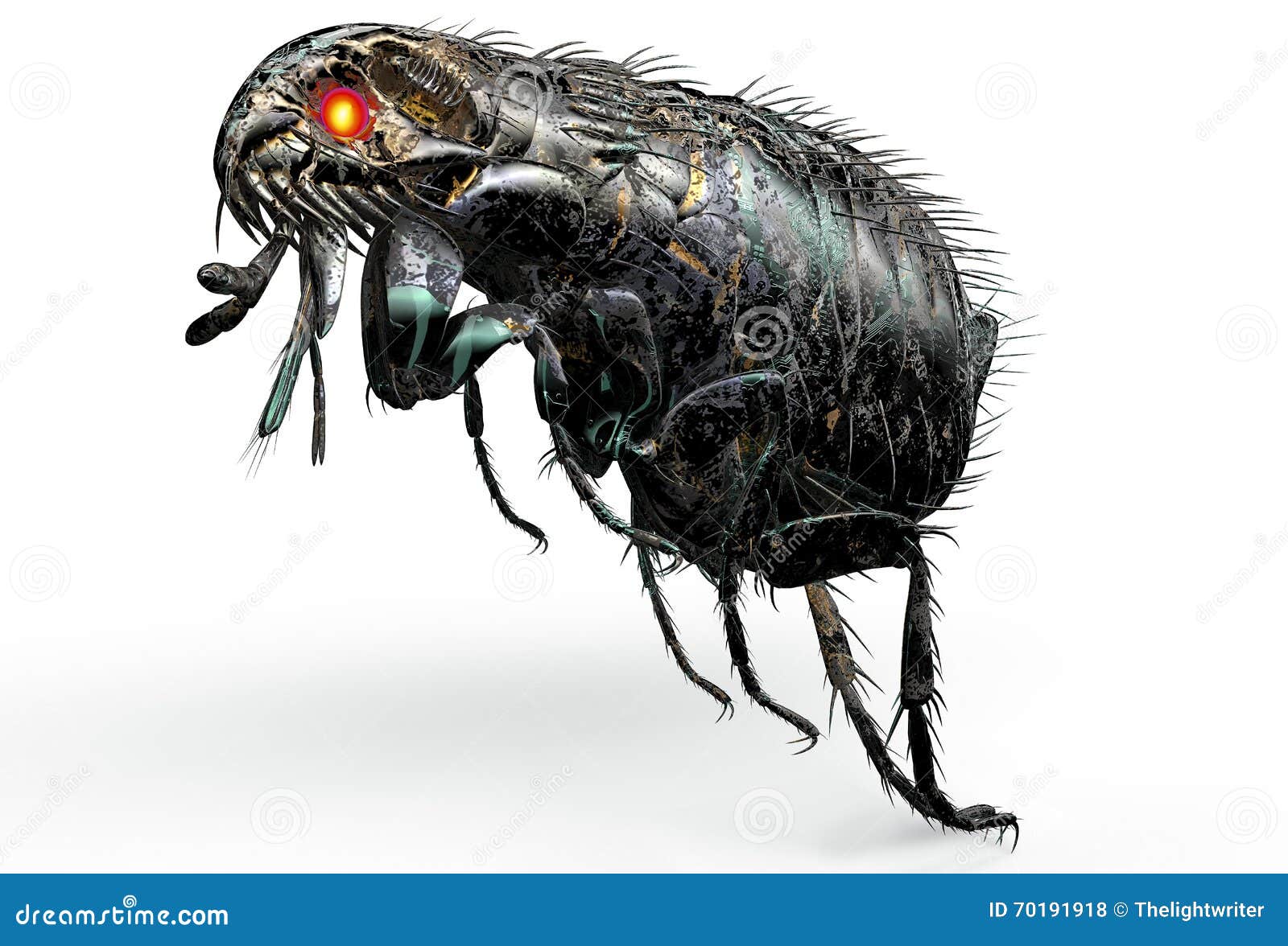 Digital Safety Concept Electronic Computer Bug Isolated Stock ...