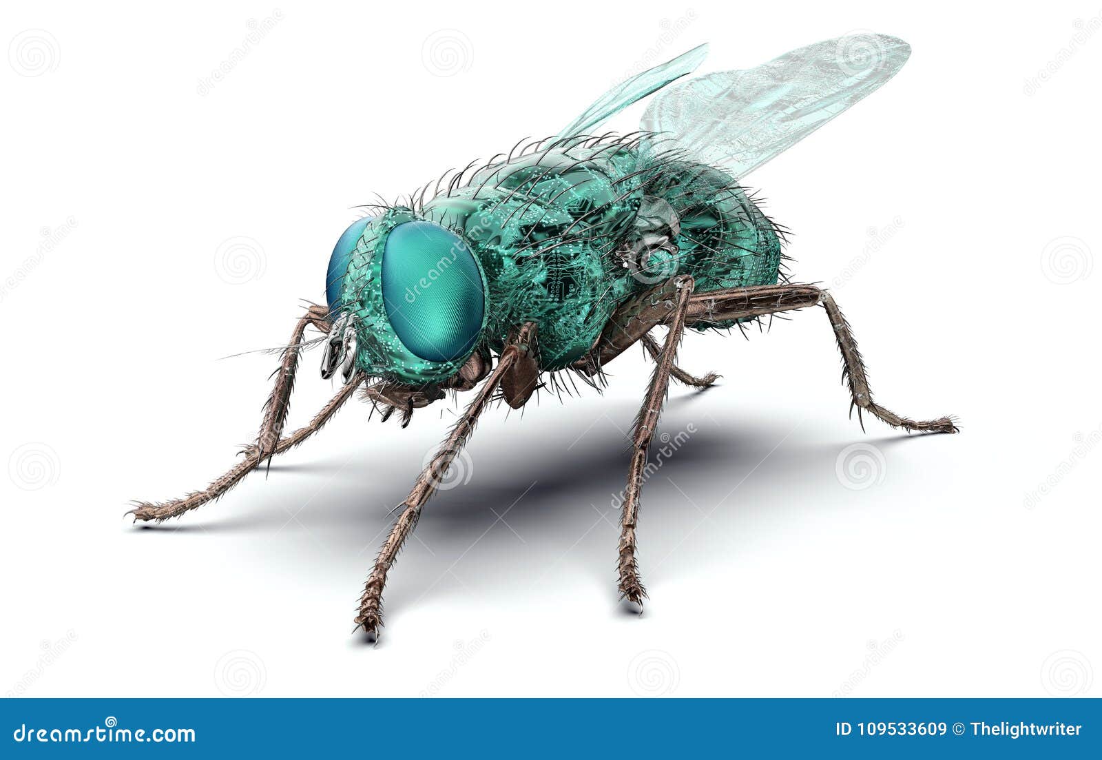 Digital Safety Concept Electronic Computer Bug Isolated Stock ...