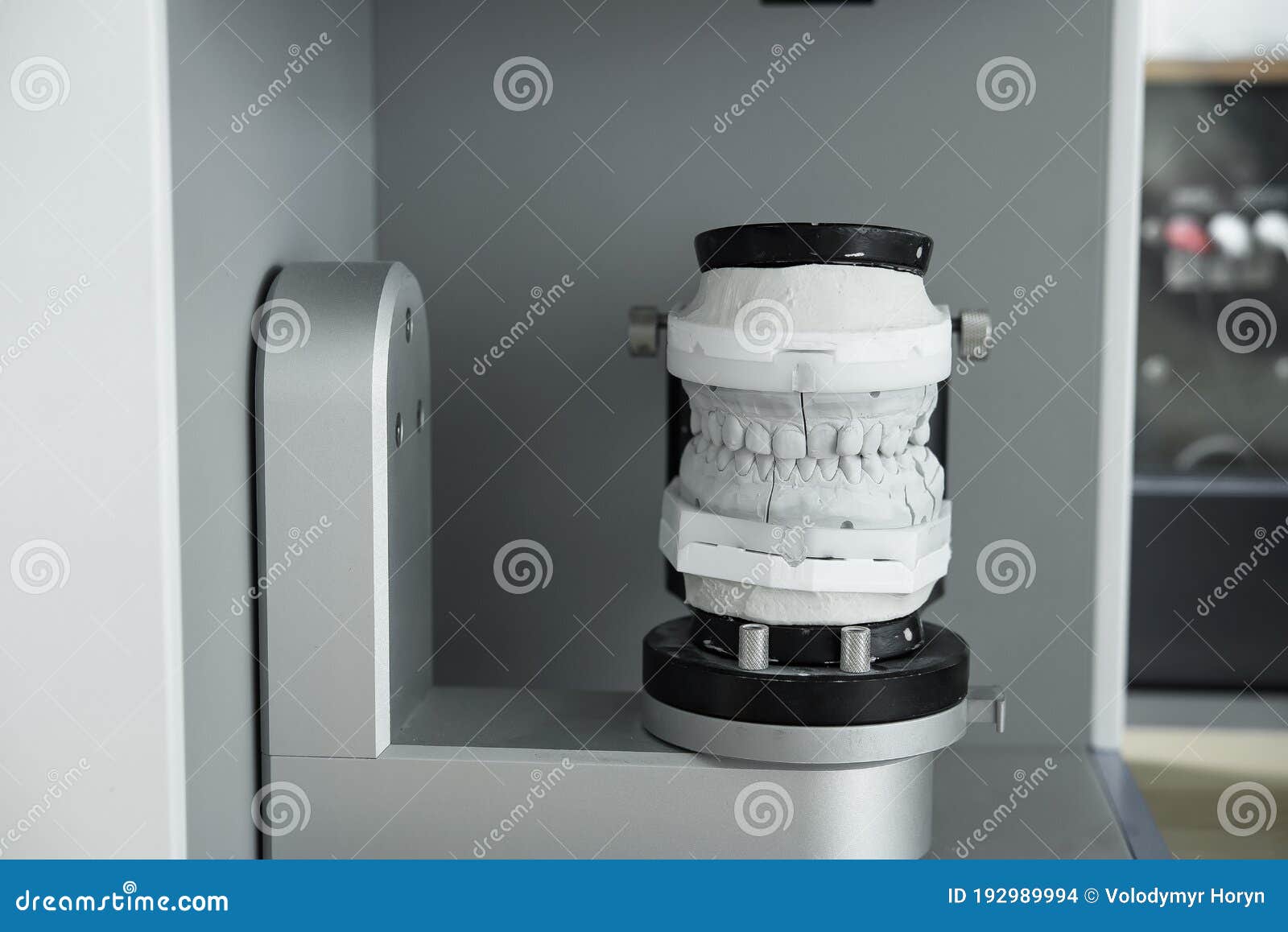 X-ray Scan Of Teeth Stock Photography | CartoonDealer.com #23630408