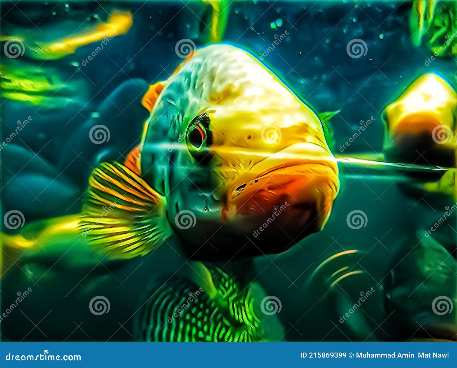 Digital Sketch of Fish. 3d Rendering or 3d Ilustration Stock ...