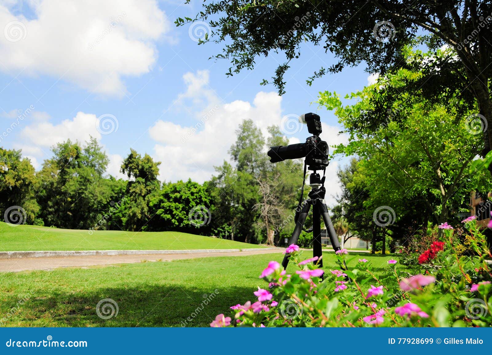 Digital Slr Camera (horizontal) Stock Image - Image of black, flash ...